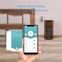 China 6L Smart Automatic Cat Feeder and Water Dispenser with WiFi Control 110-240V Dual Power Pet Food Dispenser for sale