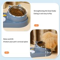 China 4 in 1 Combination Pet Bowls Feeder Stainless Steel Ceramic with LCD Display for Dogs Cats for sale