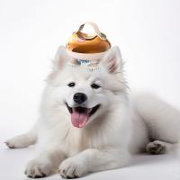 China Waterproof Silicone Pet Scalp Massager 3 Hour Charging Time CHARGE Power Source for sale
