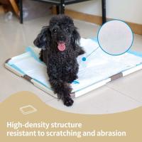 China Dog Pee Pad Foldable Potty Training  Holder Portable Silicone Tray For Puppy Training for sale
