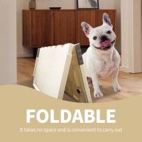 China Dog Pee Pad Foldable Potty Training  Holder Portable Silicone Tray For Puppy Training for sale