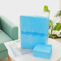 China Eco Friendly Disposable Pet Puppy Dog Pee Training Pad Soft Non Woven Fabric 60x90cm for sale