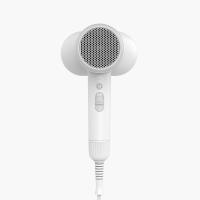China Pet Hair Dryer Comb 2-in-1 Fast Drying Detangling Grooming Tool with One-Key Hair Removal 1200W for sale