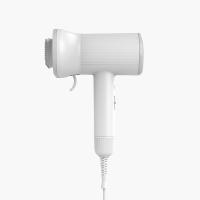 China Pet Hair Dryer Comb 2-in-1 Fast Drying Detangling Grooming Tool with One-Key Hair Removal 1200W for sale