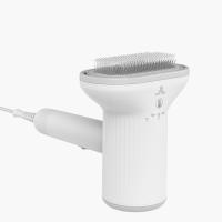 China Pet Hair Dryer Comb 2-in-1 Fast Drying Detangling Grooming Tool with One-Key Hair Removal 1200W for sale