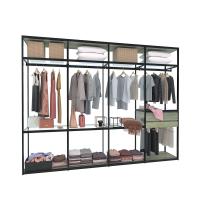 China Custom Designed for Wardrobe Closet Modern LED Lighted Aluminum Metal Storage Shelves Glass Coating Technology Clear Wardrobe for sale