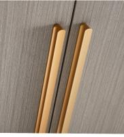 China Modern Long Aluminium Alloy Door Pull Handle Golden Grey Wardrobe Handles with Screws for sale