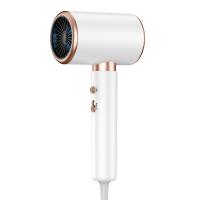 China 2000W Big Power Fast Drying White Household Negative Ion Hair Dryer With Attachments for sale