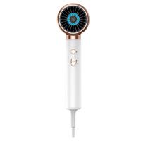 China 2000W Big Power Fast Drying White Household Negative Ion Hair Dryer With Attachments for sale