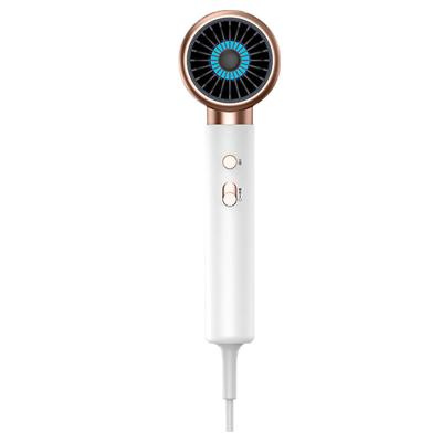 China Powerful Portable Household Fast Drying White OEM ODM Negative Ion Hair Dryer for sale