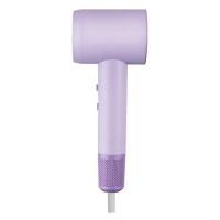 China Purple OEM ODM Negative Ion Professional Blue Light Portable Home Hair Dryer for sale