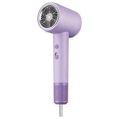 China Purple OEM ODM Negative Ion Professional Blue Light Portable Home Hair Dryer for sale