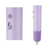 China Purple OEM ODM Negative Ion Professional Blue Light Portable Home Hair Dryer for sale
