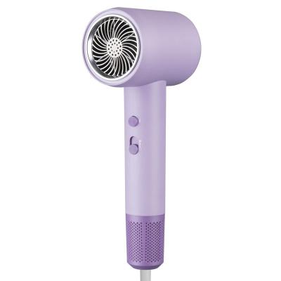 China 2000W Fast Drying Low Noise Quiet Negative Ion Blue Light Professional Hair Dryer for sale