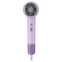 China New Design NTC Intelligent Temperature Control Negative Ion Revair Hair Dryer for sale