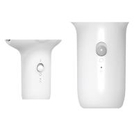 China Constant Temperature Wireless Hair Dryer Electric Light Hot Air for Baby for sale