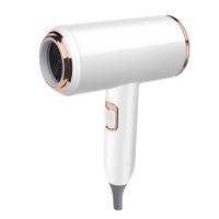 China Customizable Hair Dryer with 200 Million Negative Ions and 21000RPM Brushless DC Motor for sale