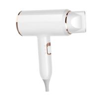 China Customizable Hair Dryer with 200 Million Negative Ions and 21000RPM Brushless DC Motor for sale