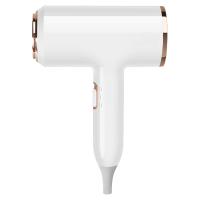 China Customizable Hair Dryer with 200 Million Negative Ions and 21000RPM Brushless DC Motor for sale