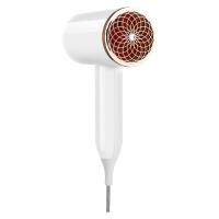 China Customizable Hair Dryer with 200 Million Negative Ions and 21000RPM Brushless DC Motor for sale