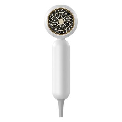 China High Speed Hair Dryer with Blue Ion Technology for Static Electricity Control for sale