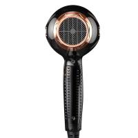 China Traditional Style Travel Hair Dryer Fashion Dryer Machine With Worldwide Plugs for sale
