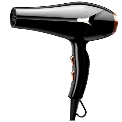 China Energy Efficient Classic Quiet Travel Blow Dryer Hair Blower With Plug Option for sale
