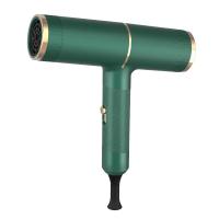 China Professional Negative Ion Leafless Ionic Hair Dryer Super Sonic Household Electric Hair Drier for sale