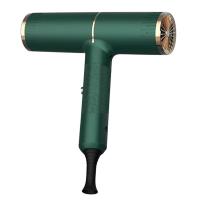 China Professional Negative Ion Leafless Ionic Hair Dryer Super Sonic Household Electric Hair Drier for sale