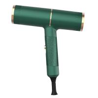 China Professional Negative Ion Leafless Ionic Hair Dryer Super Sonic Household Electric Hair Drier for sale