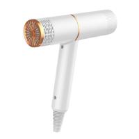 China Constant Temperature Hot Tools Hair Dryer Hot Air And Cold Air Wind Hammer Blower Dry for sale