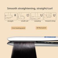 China 60W Heater Hair Straightener Fashionable Silver Plate PTC Salon Styling for sale