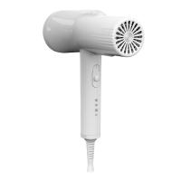 China White High Efficiency Cat Hair Dryer With 3 Gears Wind Speed For Smooth Hair for sale