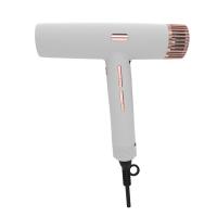 China Home Hair Dryer Solon 1800W High Speed Negative Ion Electric Ionic Professional Hair Blower Dryers for sale