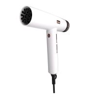 China Home Hair Dryer Solon 1800W High Speed Negative Ion Electric Ionic Professional Hair Blower Dryers for sale