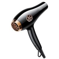 China Traditional Black Electric Hair Dryer High Efficiency OEM LOGO Printing for sale