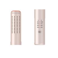 China 18W Mini Easy Carry Straight Curl Mini Travel Straightener Multifunction 2 In 1 for sale