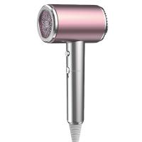 China Lightweight Golden Travel Hair Dryer With 2 Speed Setting For Fast Drying for sale