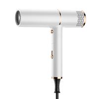 China Negative Ion DC Folding Hair Dryer Portable Household Travel Blow Hair Dryer Hot and Cold Air for sale