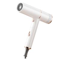 China Negative Ion DC Folding Hair Dryer Portable Household Travel Blow Hair Dryer Hot and Cold Air for sale