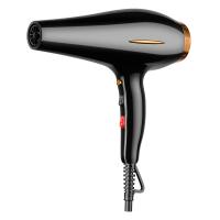 China Ergonomic Handle Electric Hair Dryer with Noise Reduction Design and Large Metal Air Intake for sale