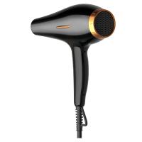 China Ergonomic Handle Electric Hair Dryer with Noise Reduction Design and Large Metal Air Intake for sale