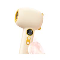 China Customizable Cordless Hair Dryer with Lable Customization and Color Options for sale