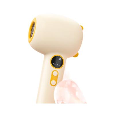 China Advanced Technology Cordless Hair Dryer With Type-C Charging Port And Long Battery Life for sale