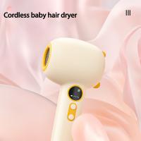 China Customizable Cordless Hair Dryer with Lable Customization and Color Options for sale