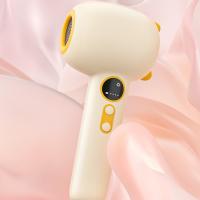 China Customizable Cordless Hair Dryer with Lable Customization and Color Options for sale