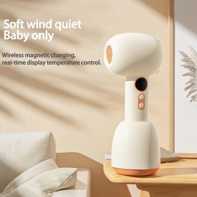 China Customizable Cordless Hair Dryer with Lable Customization and Color Options for sale