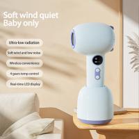 China Customizable Cordless Hair Dryer with Lable Customization and Color Options for sale