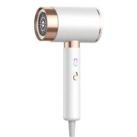 China Low Noise Professional Salon Hair Dryer with 3 Heat Levels and Powerful 2400W for sale
