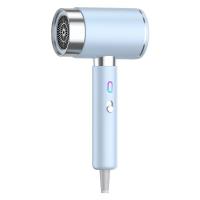 China Low Noise Professional Salon Hair Dryer with 3 Heat Levels and Powerful 2400W for sale